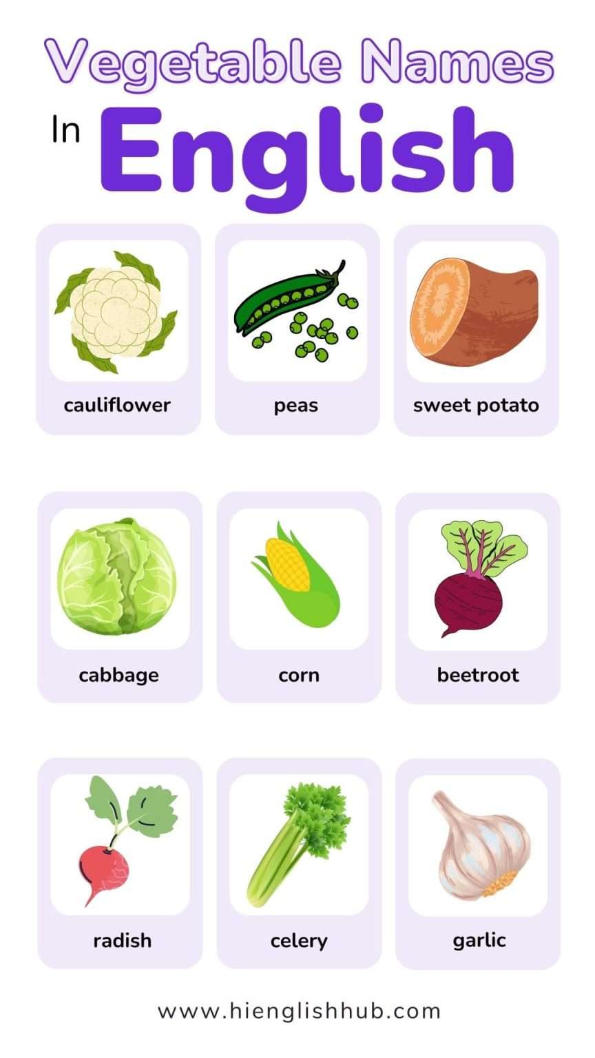 91+ Vegetable Names In English With Pictures - Hi English Hub