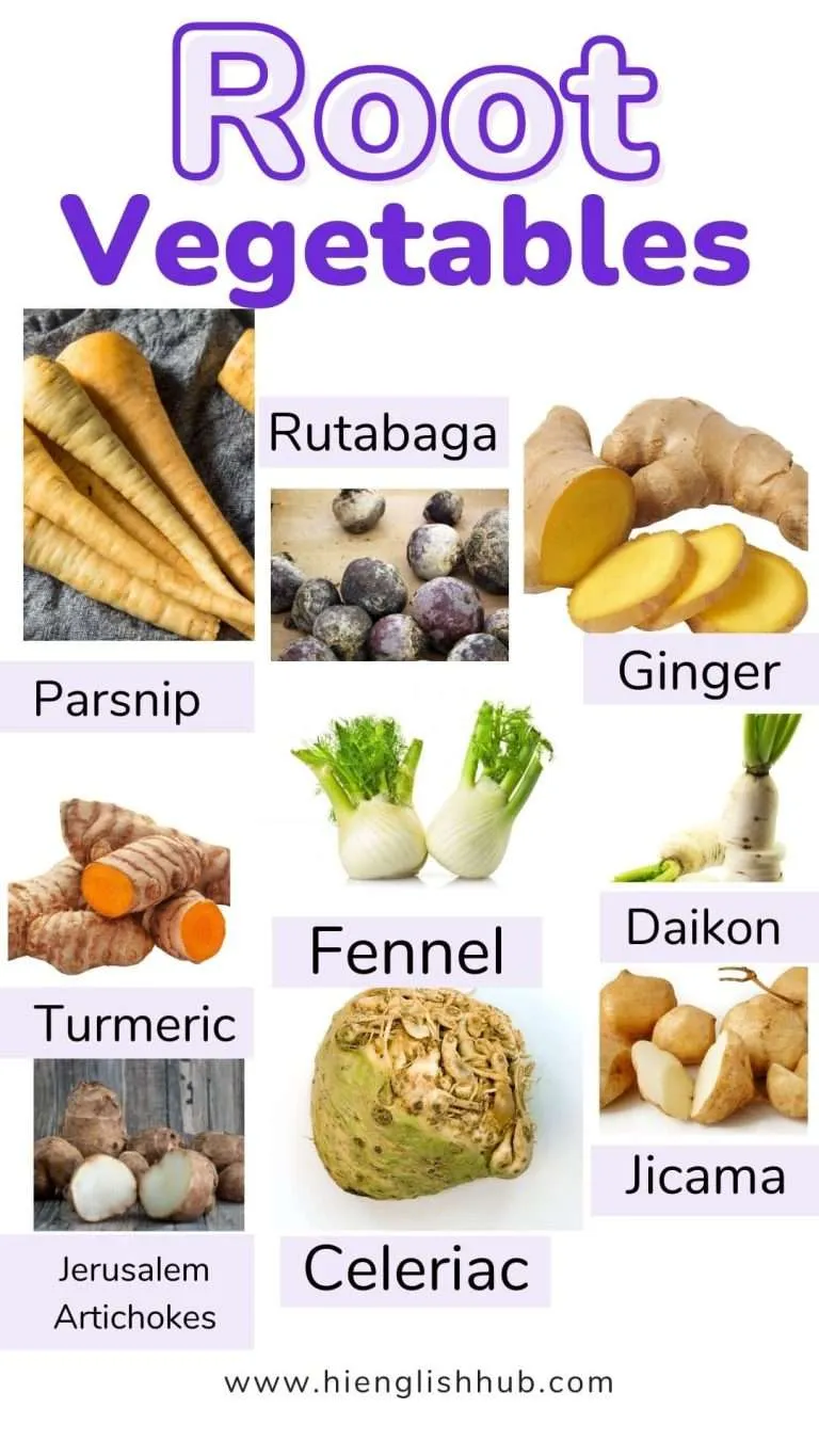 91+ Vegetable Names In English With Pictures - Hi English Hub