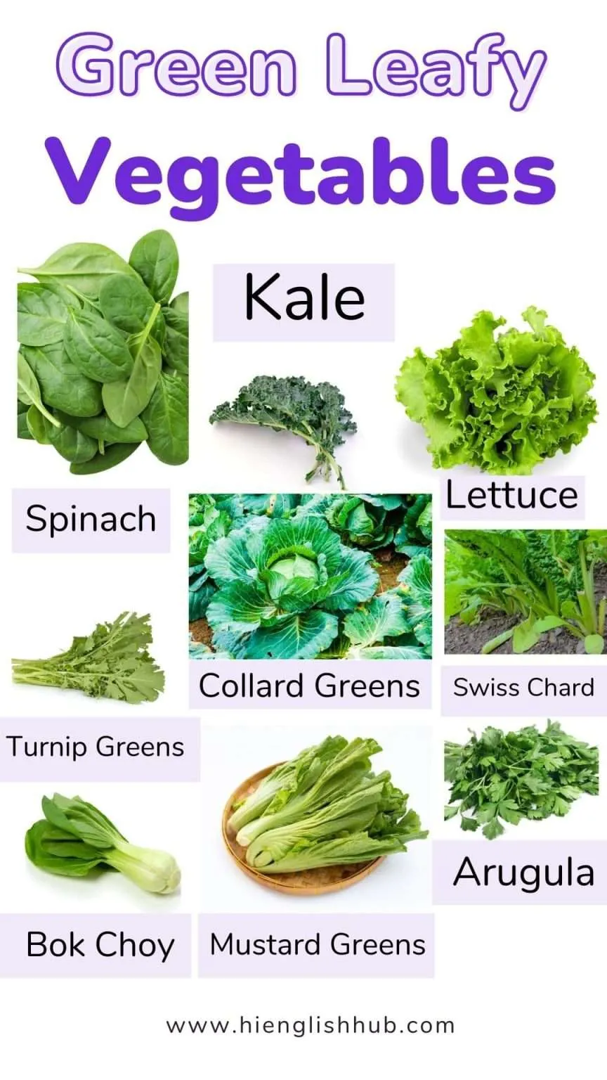 91+ Vegetable Names In English With Pictures - Hi English Hub