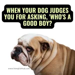 Question Mark (?) What Is It And When Should You Use It? - Hi English Hub