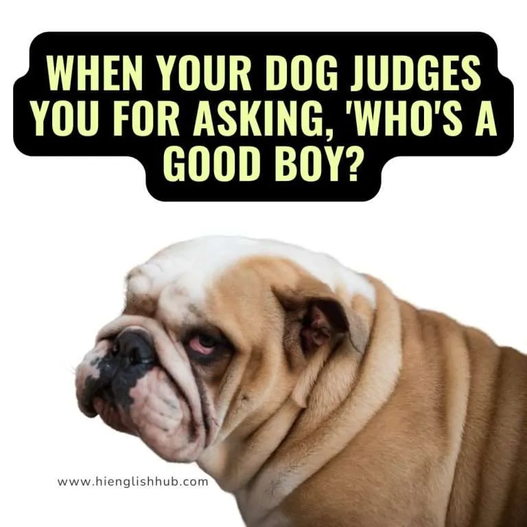 Question Mark (?) What Is It And When Should You Use It? - Hi English Hub