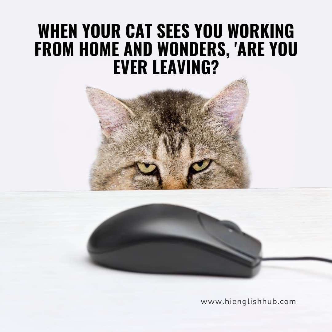 Question Mark (?) What Is It And When Should You Use It? - Hi English Hub